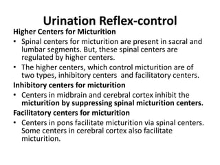Micturition Reflex.ppt | Brain and Nervous System Disorders | Diseases ...