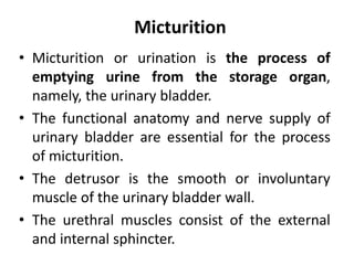 Micturition Reflex.ppt | Brain and Nervous System Disorders | Diseases ...
