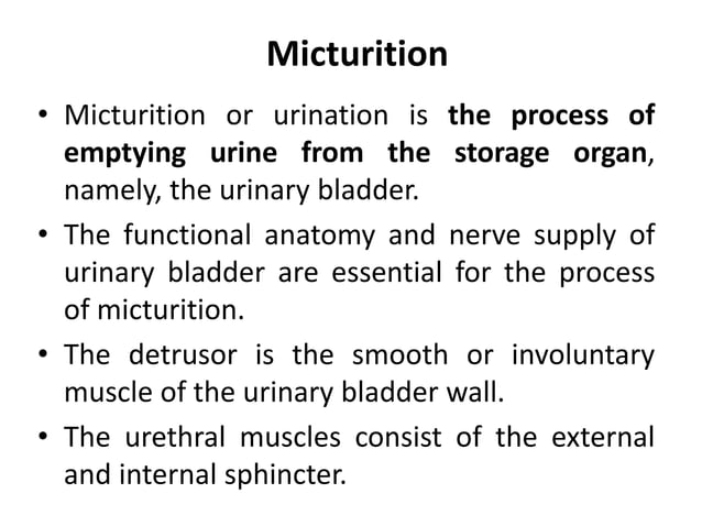 Micturition Reflex.ppt | Brain and Nervous System Disorders | Diseases ...