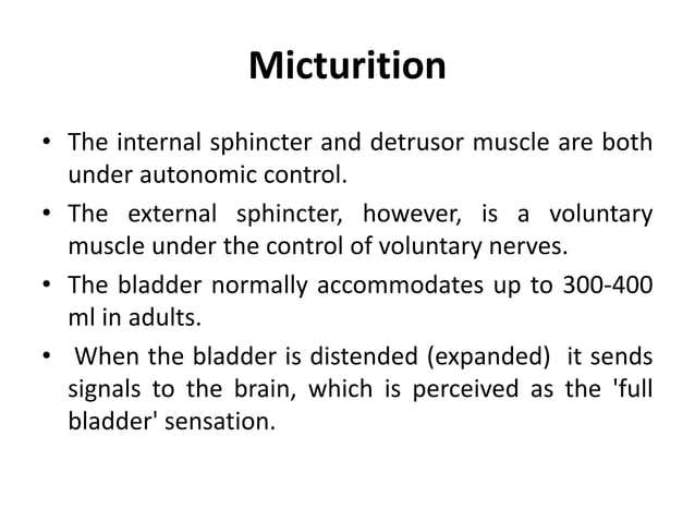 Micturition Reflex.ppt | Brain and Nervous System Disorders | Diseases ...