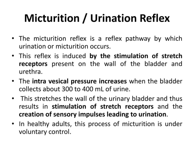 Micturition Reflex.ppt | Brain and Nervous System Disorders | Diseases ...