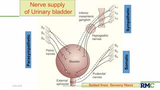 Micturition | PPTX