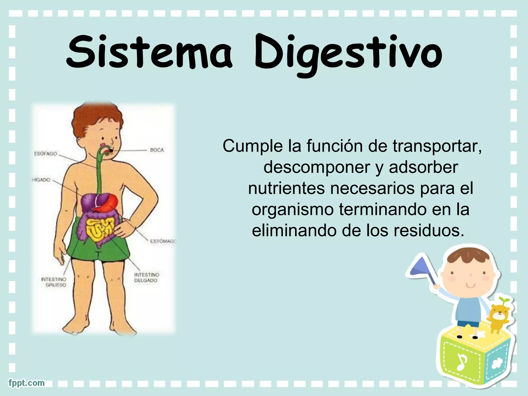 Mi cuerpo y sus sistemas | PPT