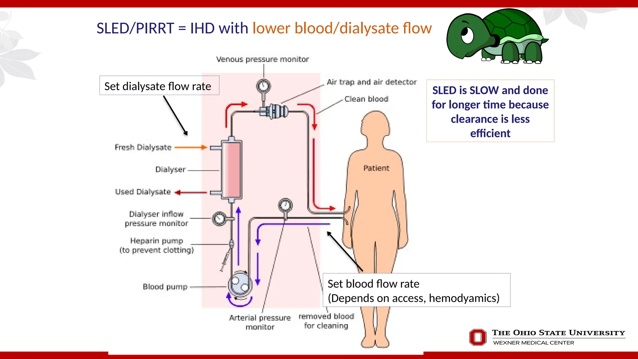 Basics of Renal Replacement Therapy (RRT) | PPT