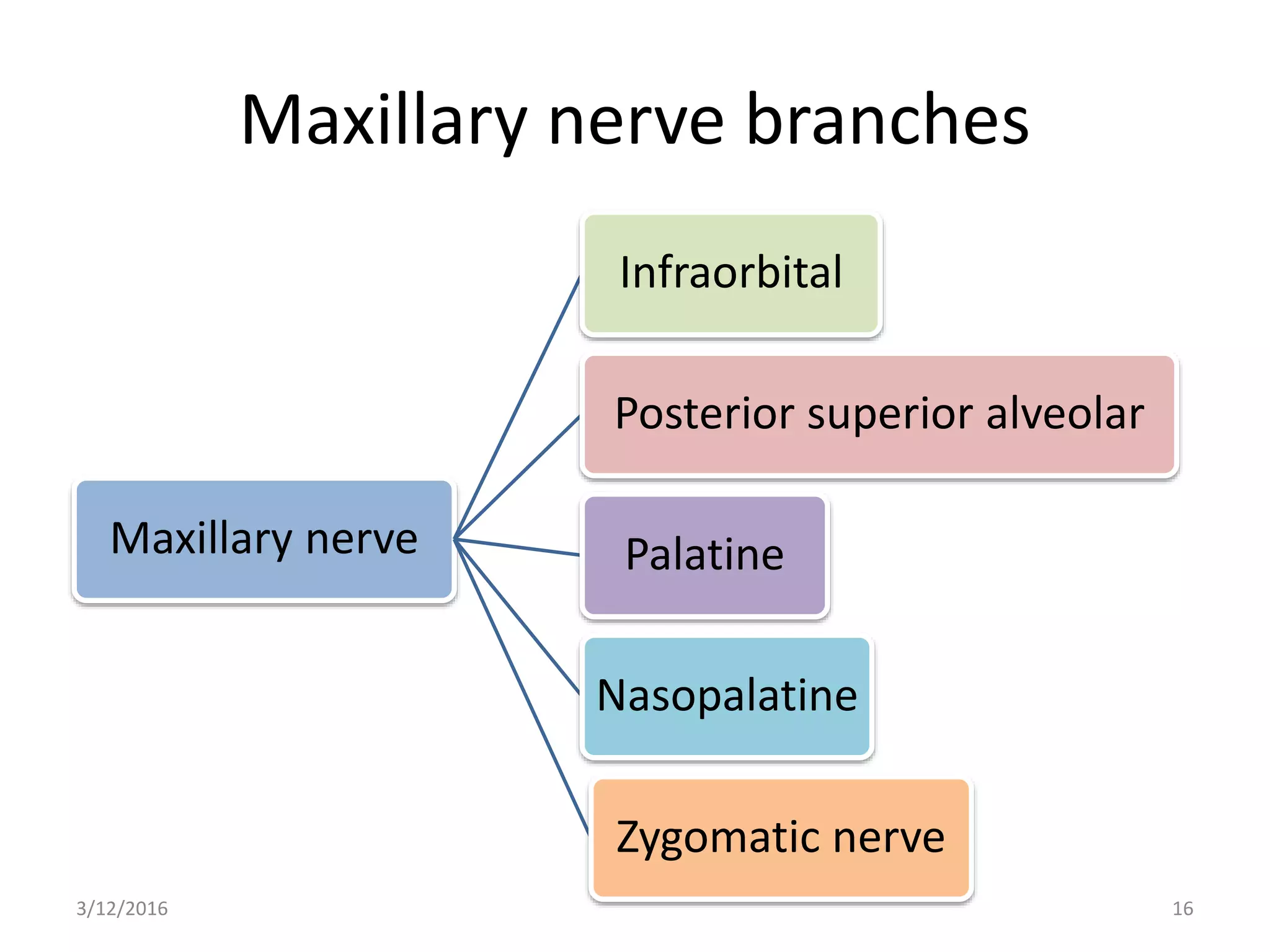Mid facial fractures and their management | PPTX