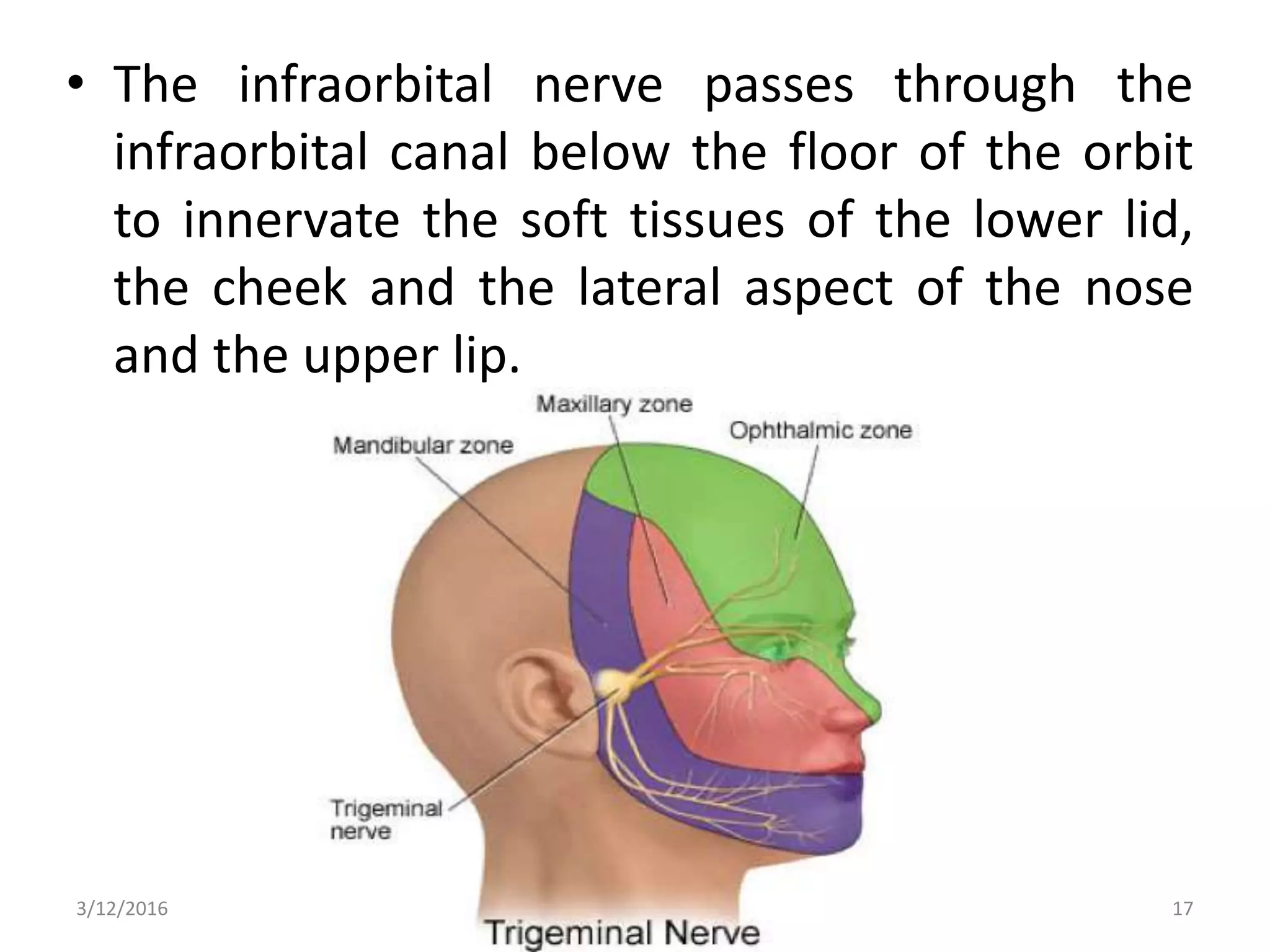Mid facial fractures and their management | PPTX