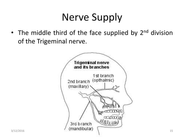 Mid facial fractures and their management | PPTX