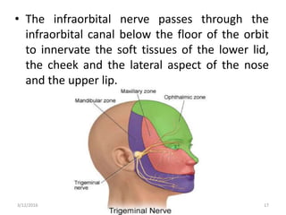 Mid facial fractures and their management | PPTX