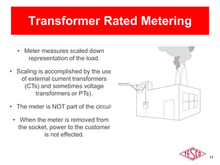 Learning the Language (Meter Testing 101) | PPTX