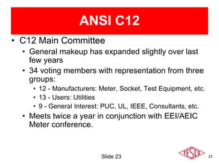 Learning the Language (Meter Testing 101) | PPTX
