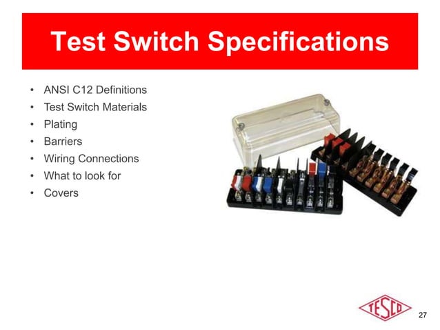 Learning the Language (Meter Testing 101) | PPTX