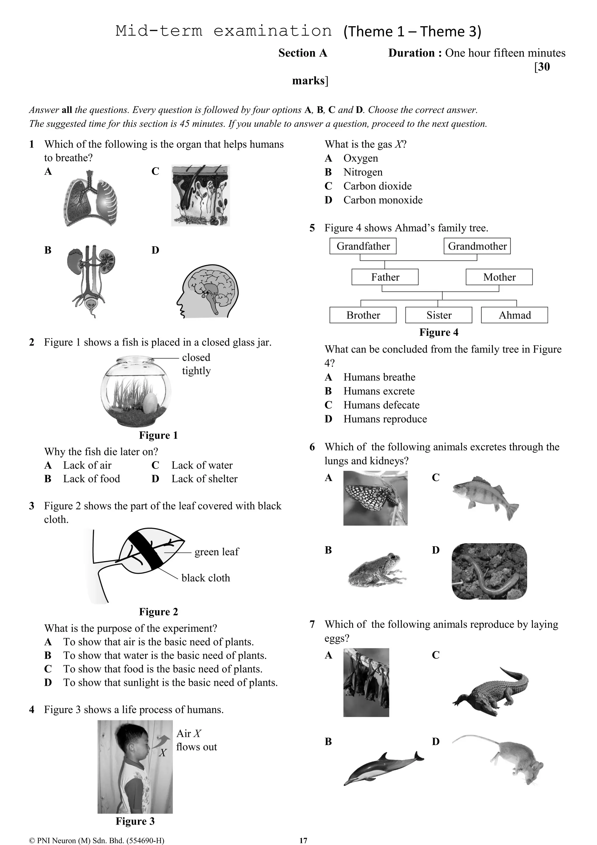 Mid term examination | PDF