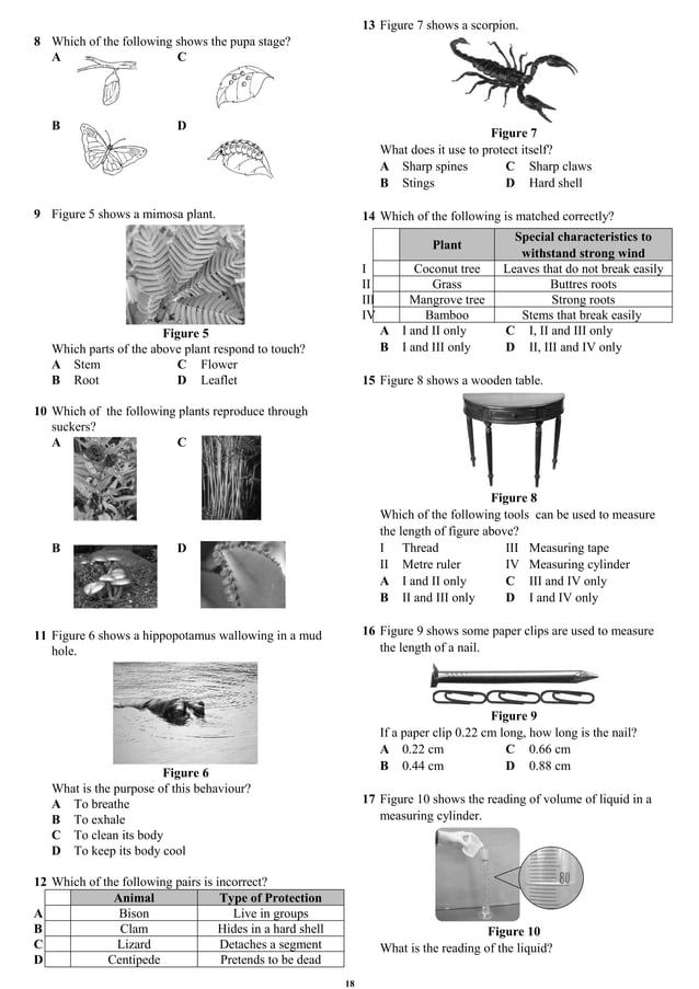 Mid term examination | PDF