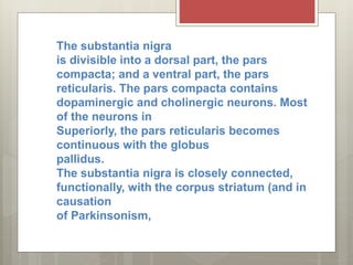 clinical anatomy of mid brain | PPT