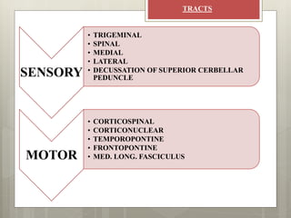 clinical anatomy of mid brain | PPT