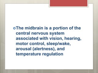 clinical anatomy of mid brain | PPT