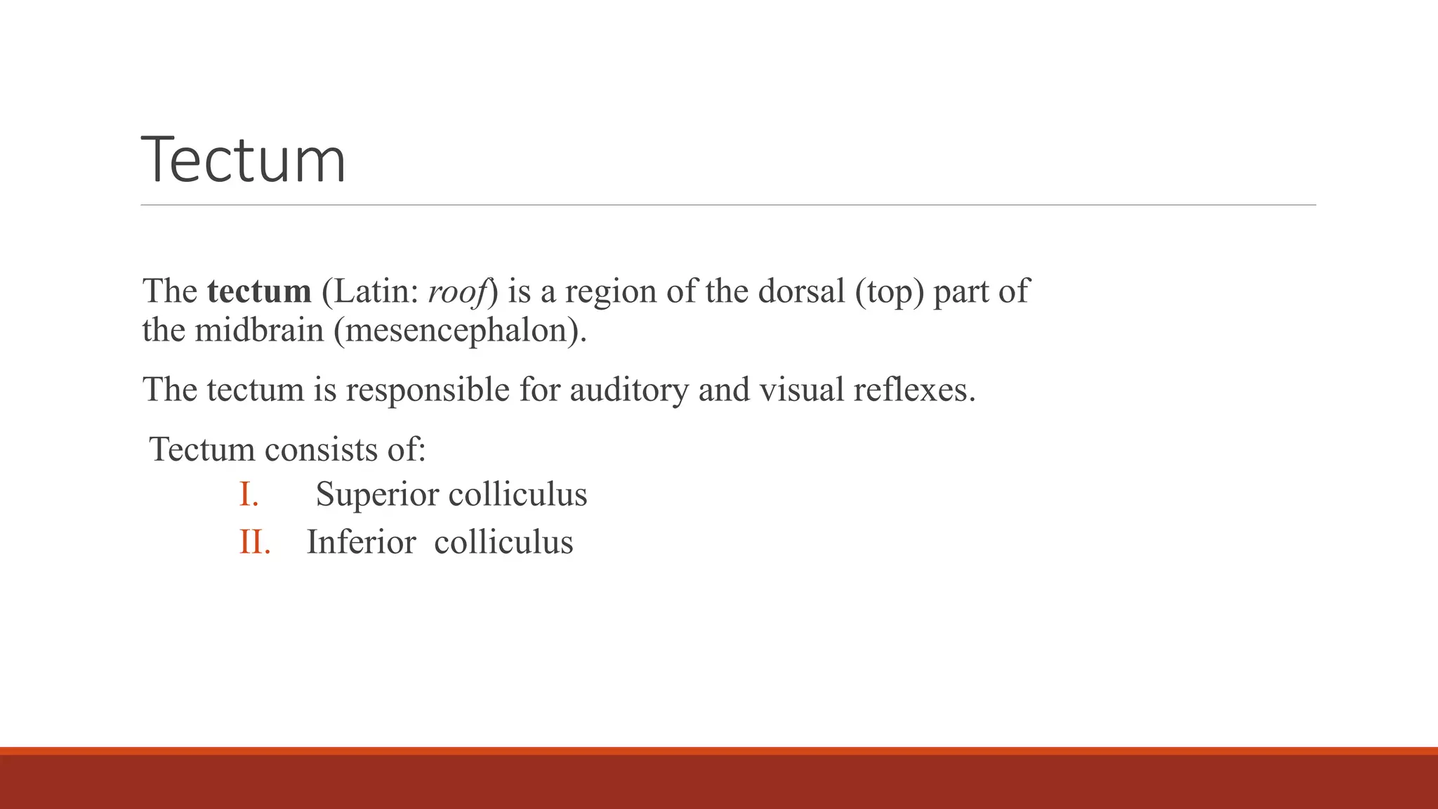 Midbrain | PPTX