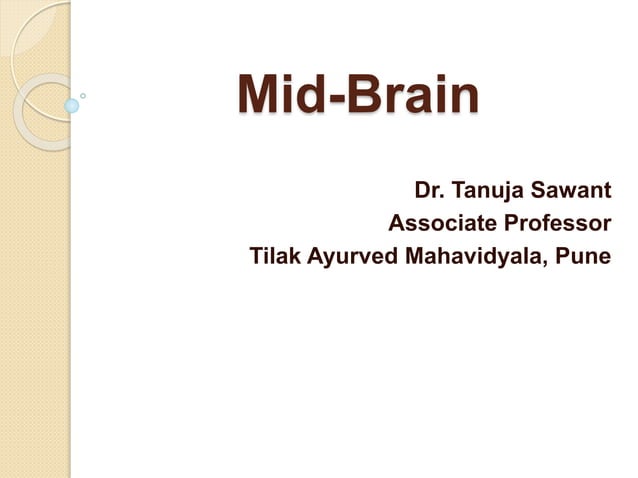 Midbrain | PPTX | Brain and Nervous System Disorders | Diseases and ...