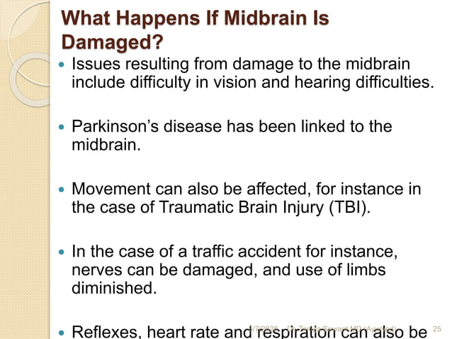 Midbrain | PPTX | Brain and Nervous System Disorders | Diseases and Conditions