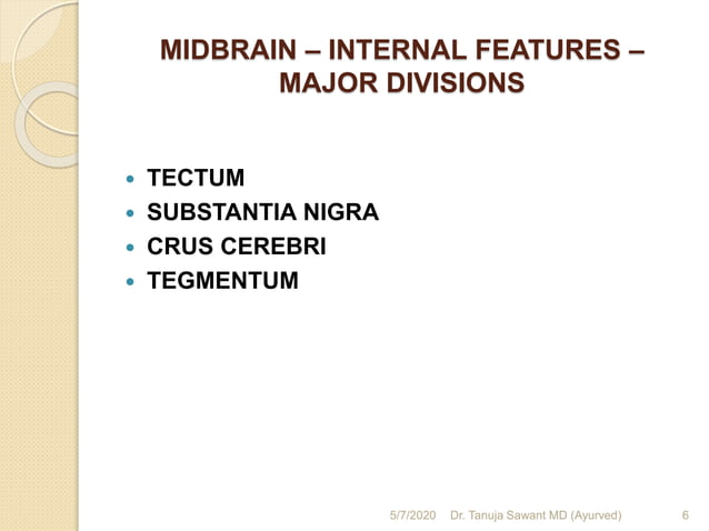 Midbrain | PPTX | Brain and Nervous System Disorders | Diseases and ...