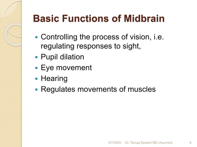 Midbrain | PPTX | Brain and Nervous System Disorders | Diseases and ...