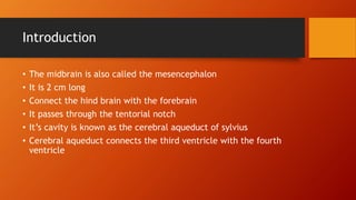 Mid brain | PPTX