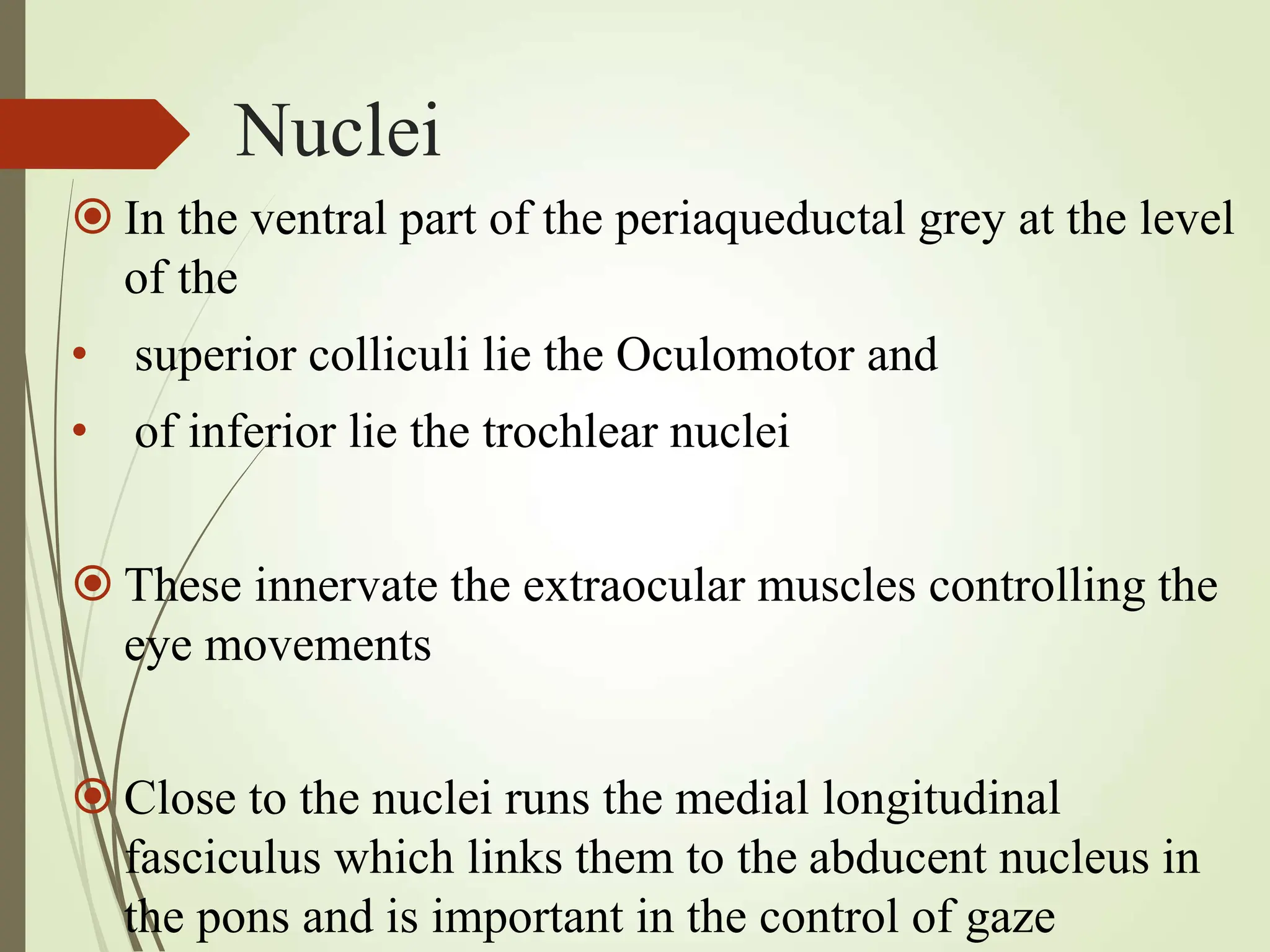 Midbrain anatomy points functions noges.ppt