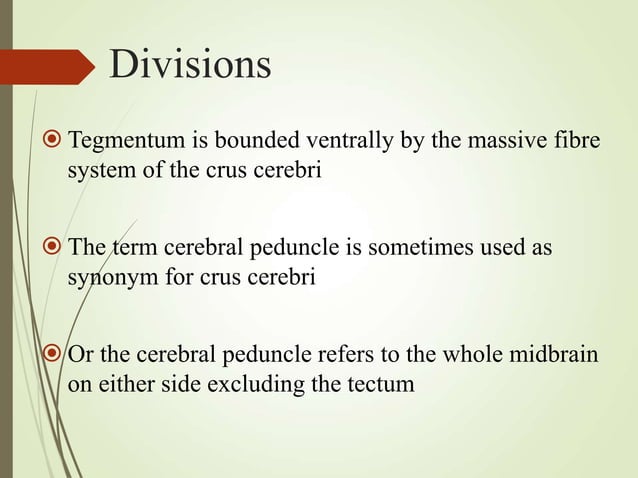 Midbrain anatomy points functions noges.ppt | Brain and Nervous System ...