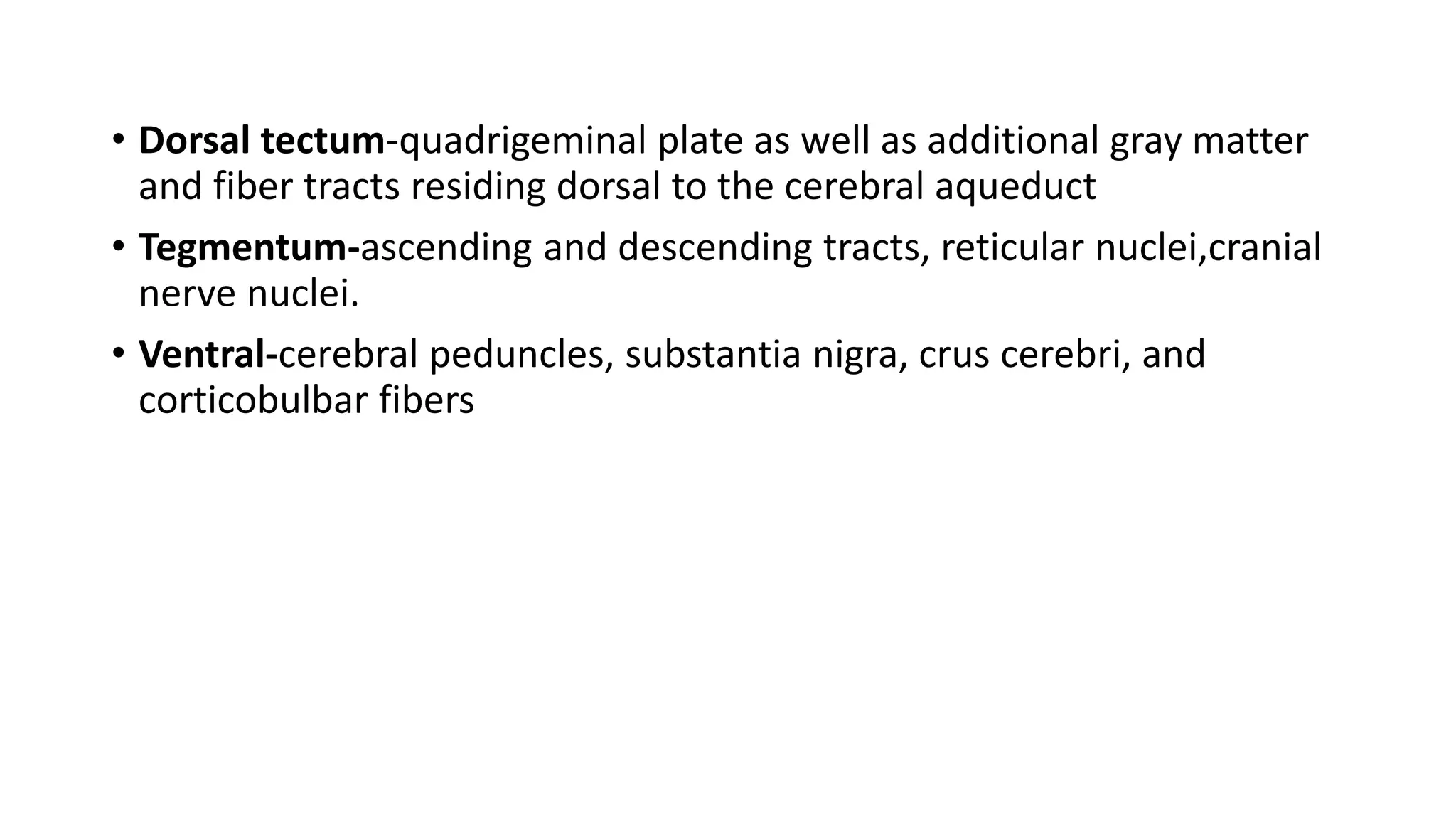 Mid brain anatomy and vascular syndromes | PPTX