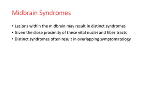 Mid brain anatomy and vascular syndromes | PPTX