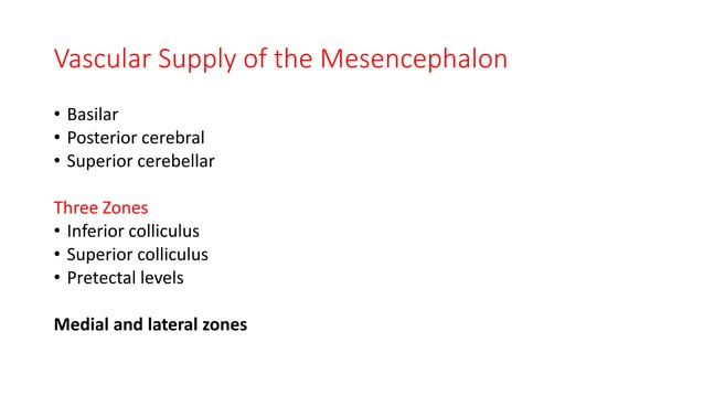 Mid brain anatomy and vascular syndromes | PPTX | Brain and Nervous ...
