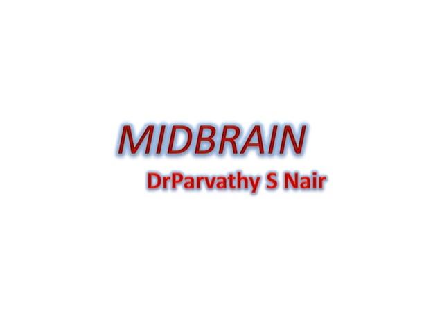 Midbrain-Neuroradiology | PPTX