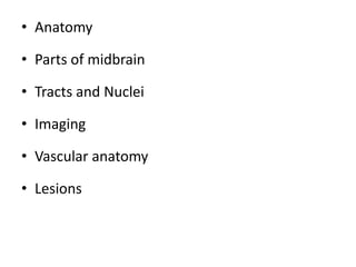 Midbrain-Neuroradiology | PPTX