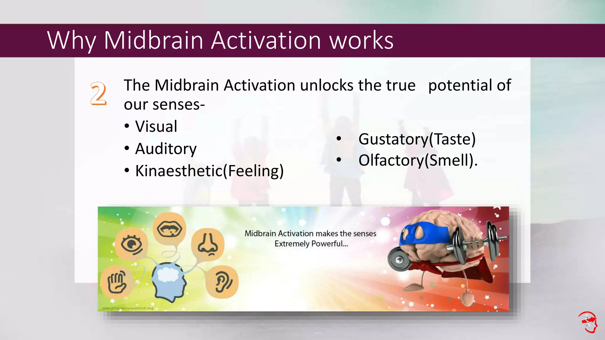 Midbrain activation | PPSX
