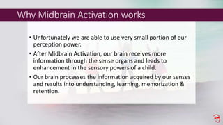 Midbrain activation | PPSX