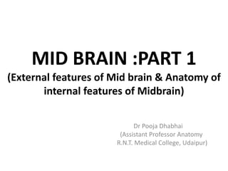 Mid brain part 1 | PPTX