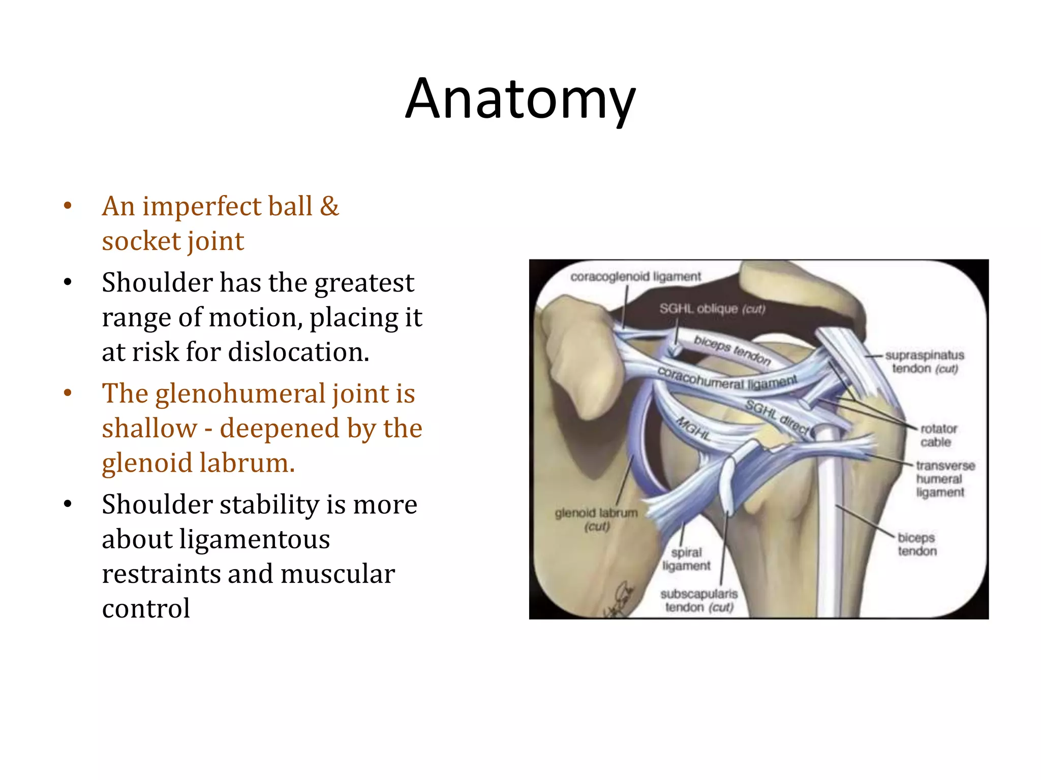 Management of Shoulder dislocations and shoulder instability in sports ...