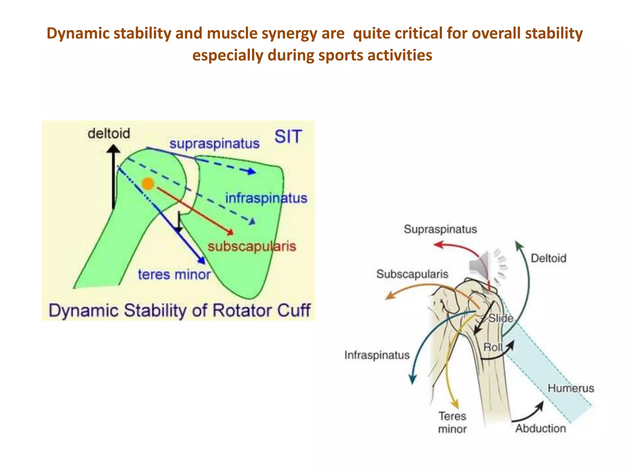 Management of Shoulder dislocations and shoulder instability in sports ...