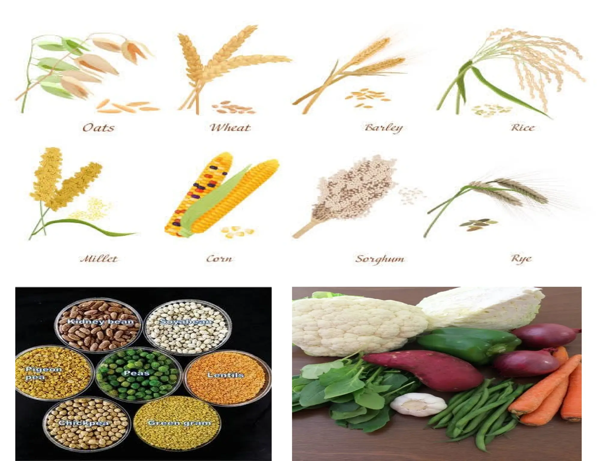 MIDDAY MEAL applied Nutrition programme.pptx