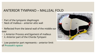 Middle-Ear-Mucosal-Folds-The-Hidden-Microarchitecture.pptx