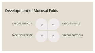 Middle-Ear-Mucosal-Folds-The-Hidden-Microarchitecture.pptx