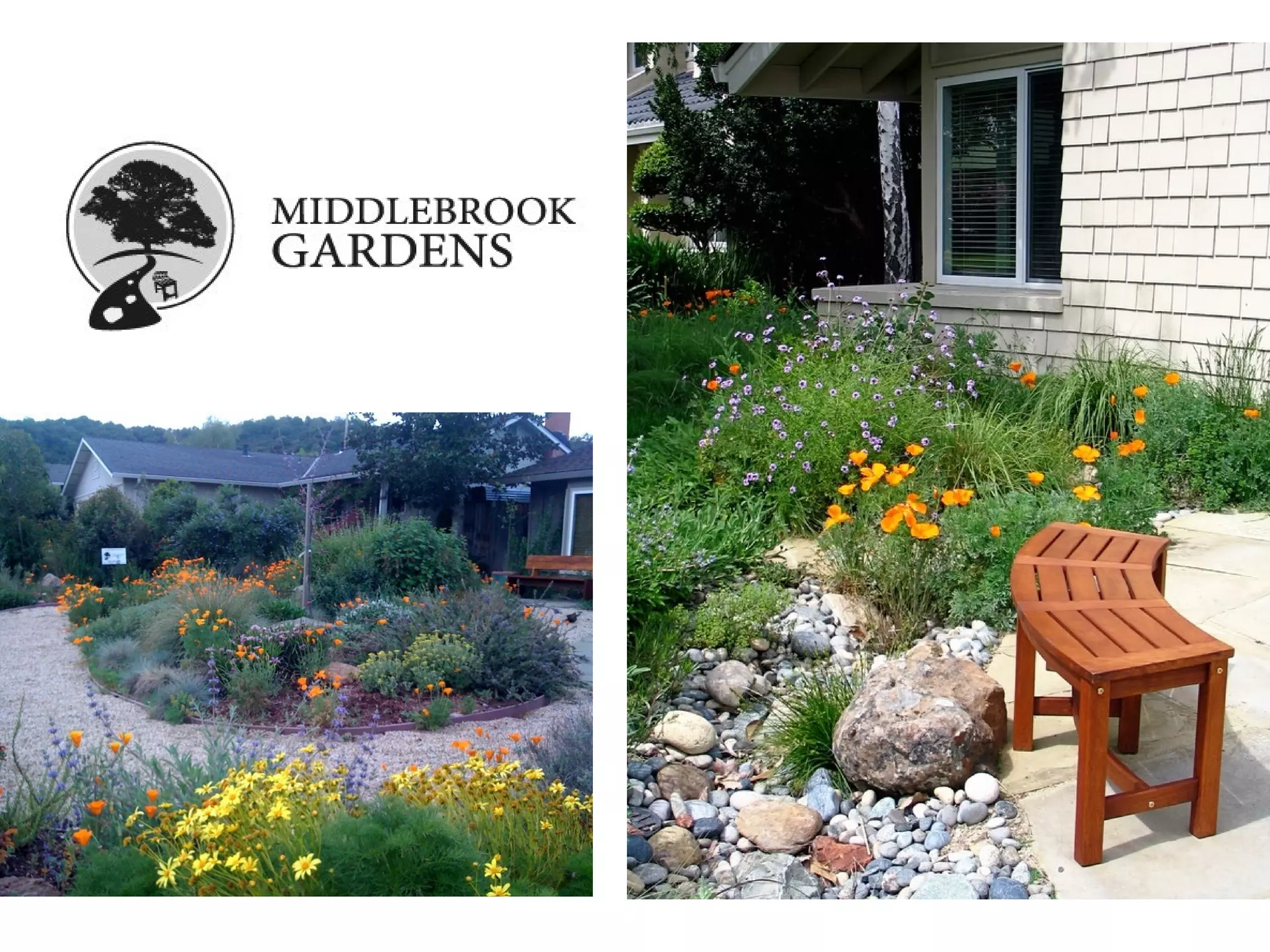 Middlebrook Gardens native garden pictures | PPT | Home & Garden