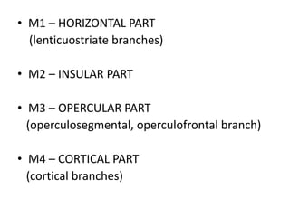 Middle cerebral artery branches | PPTX