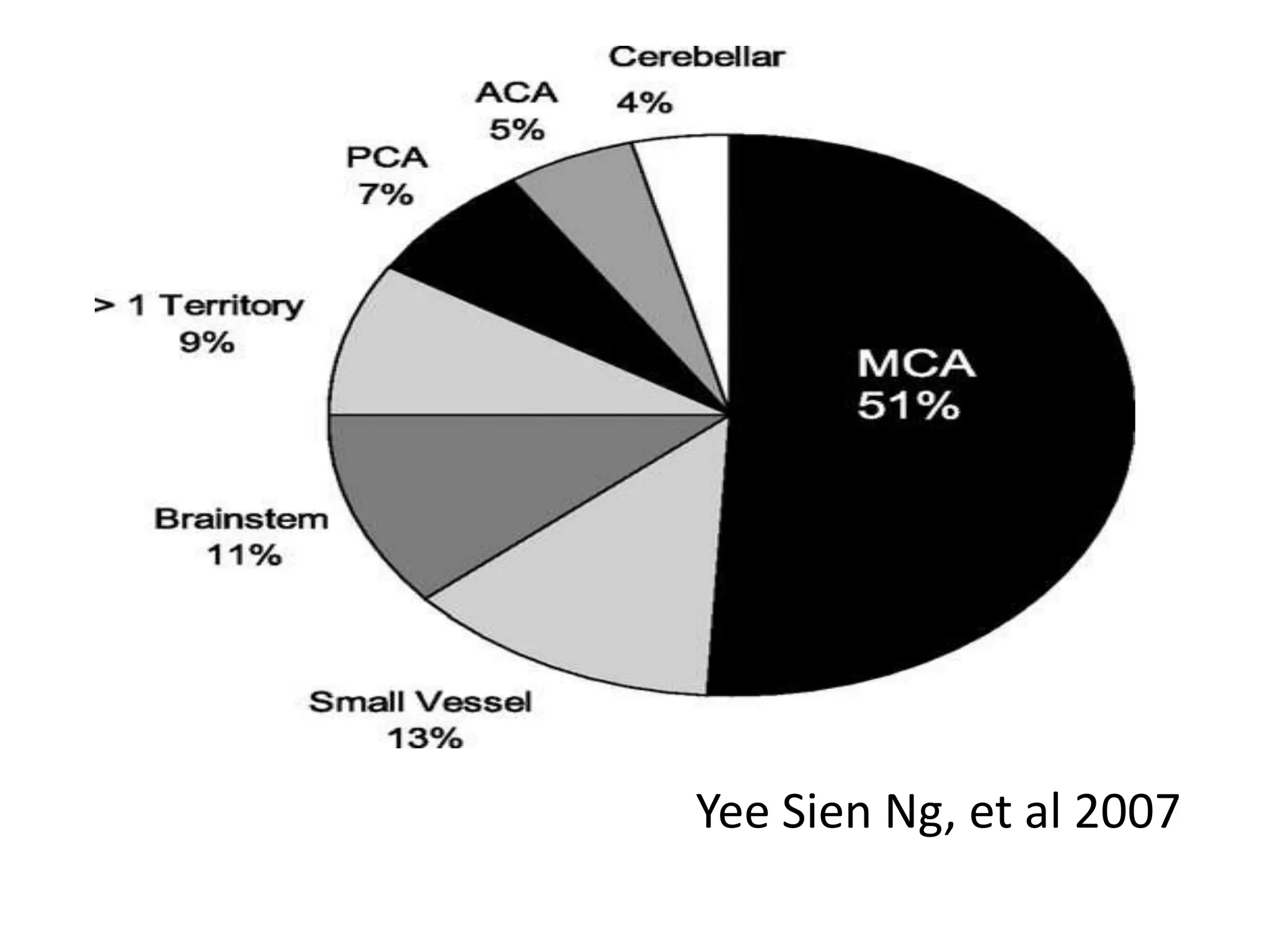 Middle Cerebral Artery Syndromes Ppt