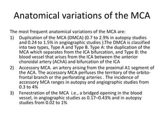 Middle Cerebral Artery Syndromes | PPTX