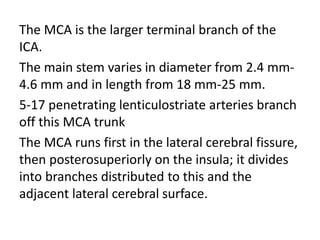 Middle Cerebral Artery Syndromes | PPTX