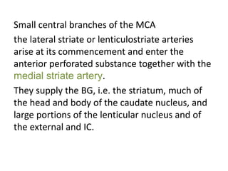Middle Cerebral Artery Syndromes | PPTX