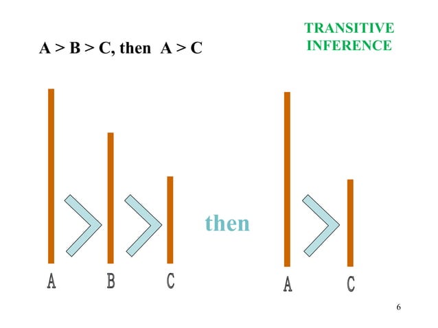 Middle Childhood: Cognitive Development | PPT | Parenting | Family and ...