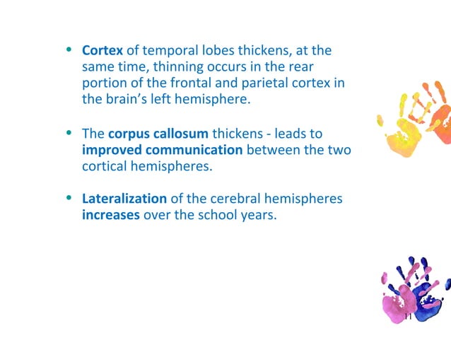 Middle Childhood: Physical Development | PPT
