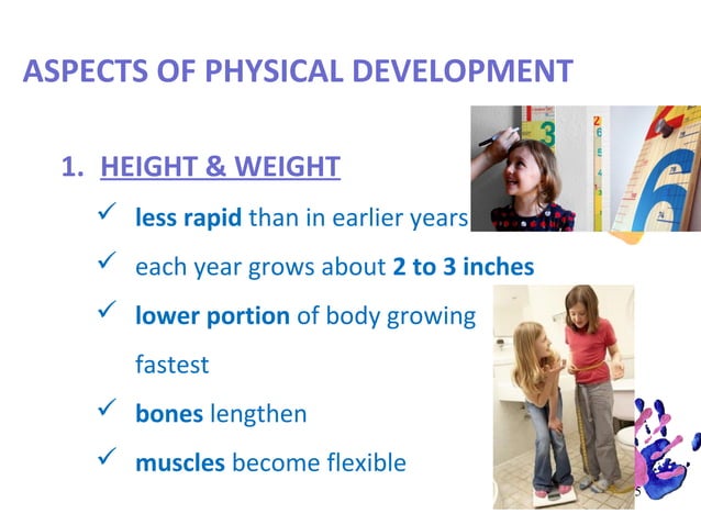Middle Childhood: Physical Development | PPT
